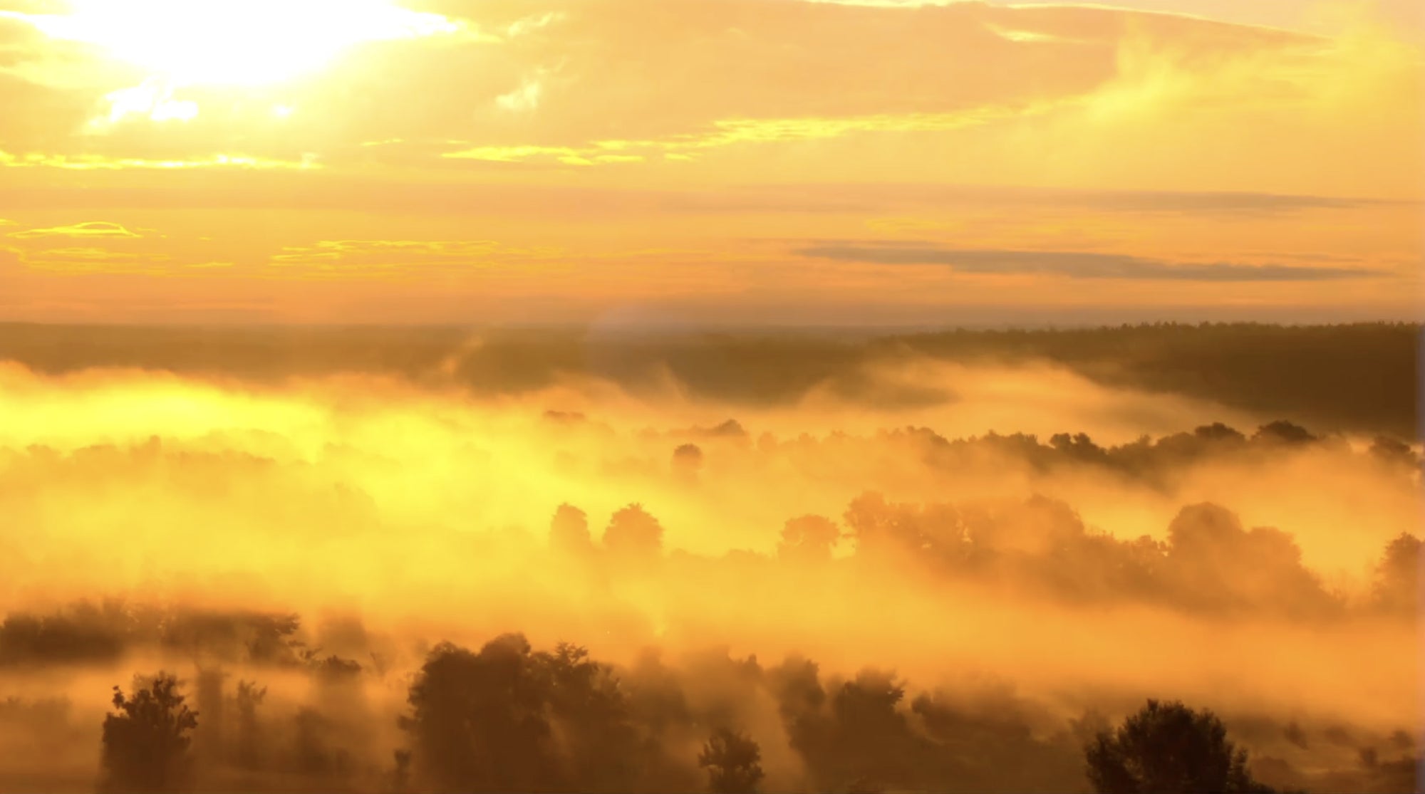 Solar Shield Technology