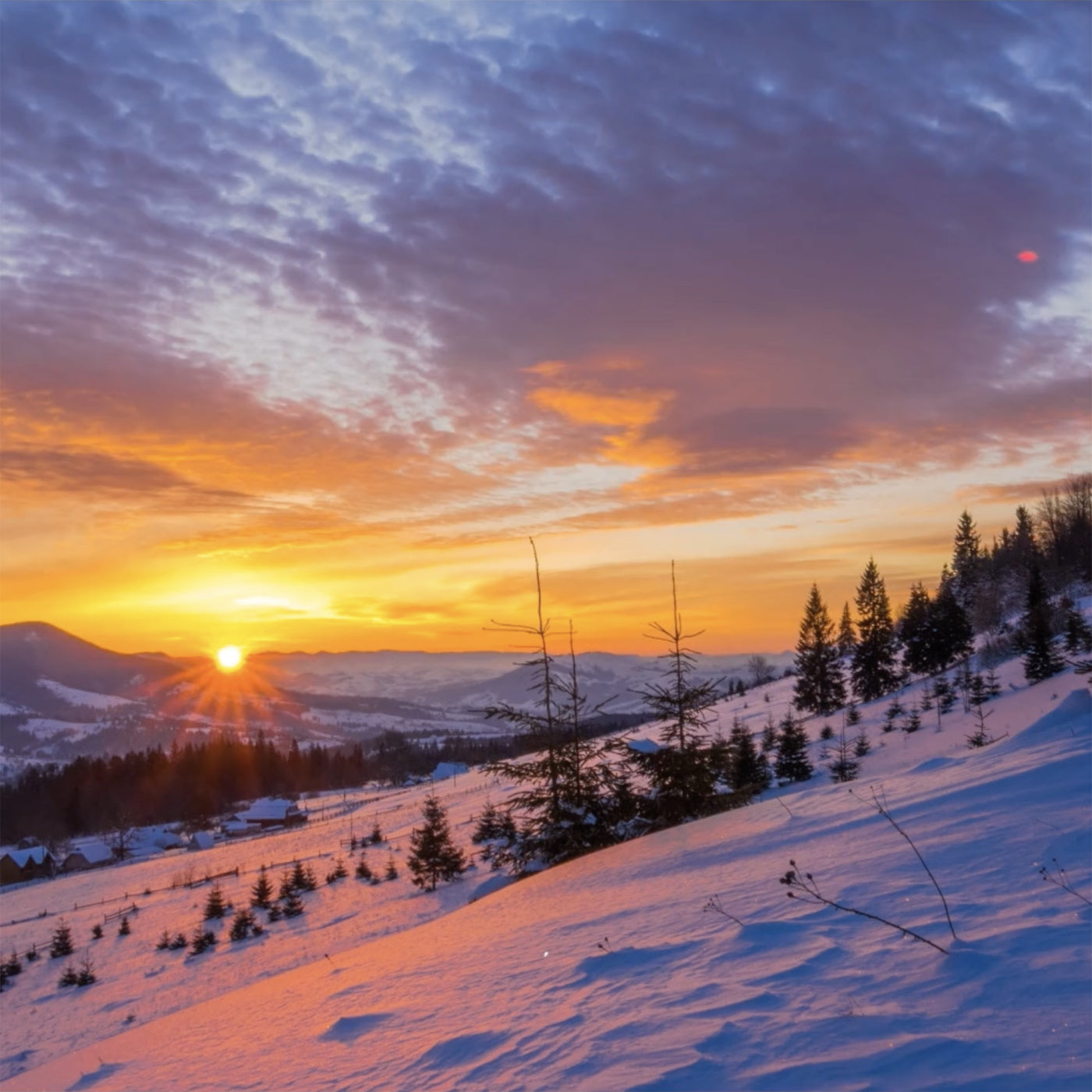 Thermal Control Technology